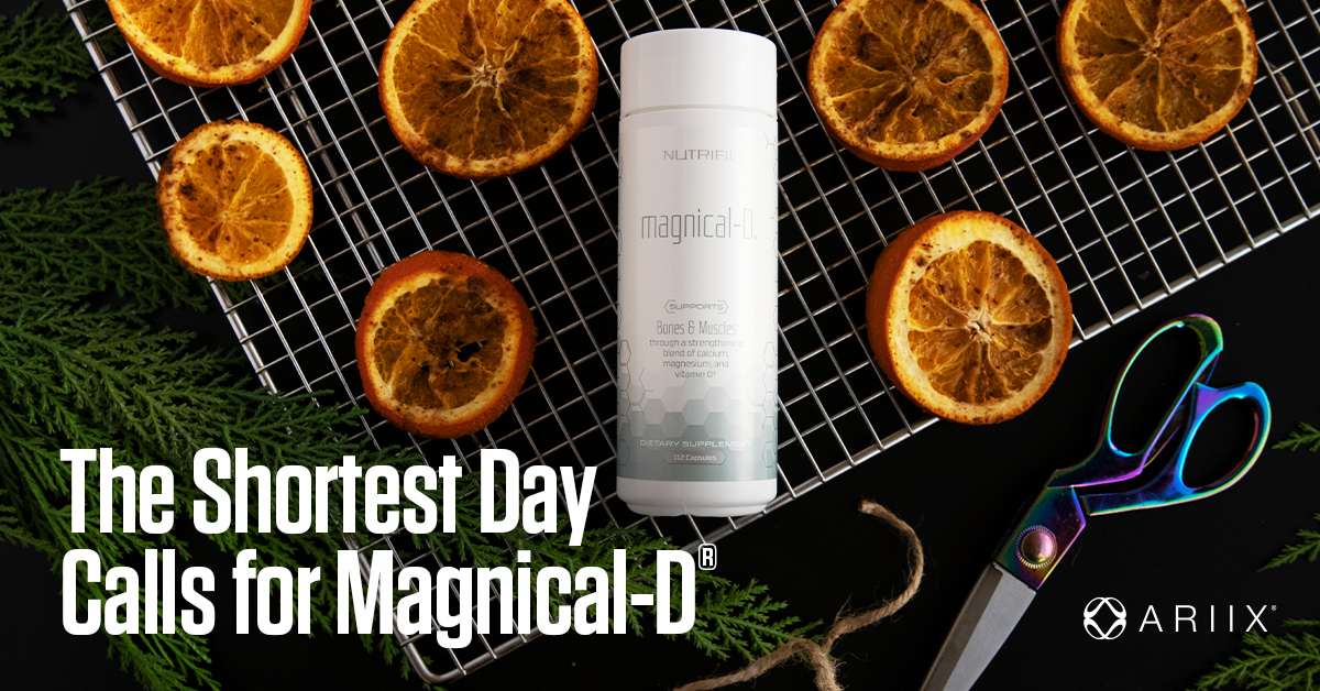 Journal | Partner.Co: The Shortest Day Calls for Magnical-D®