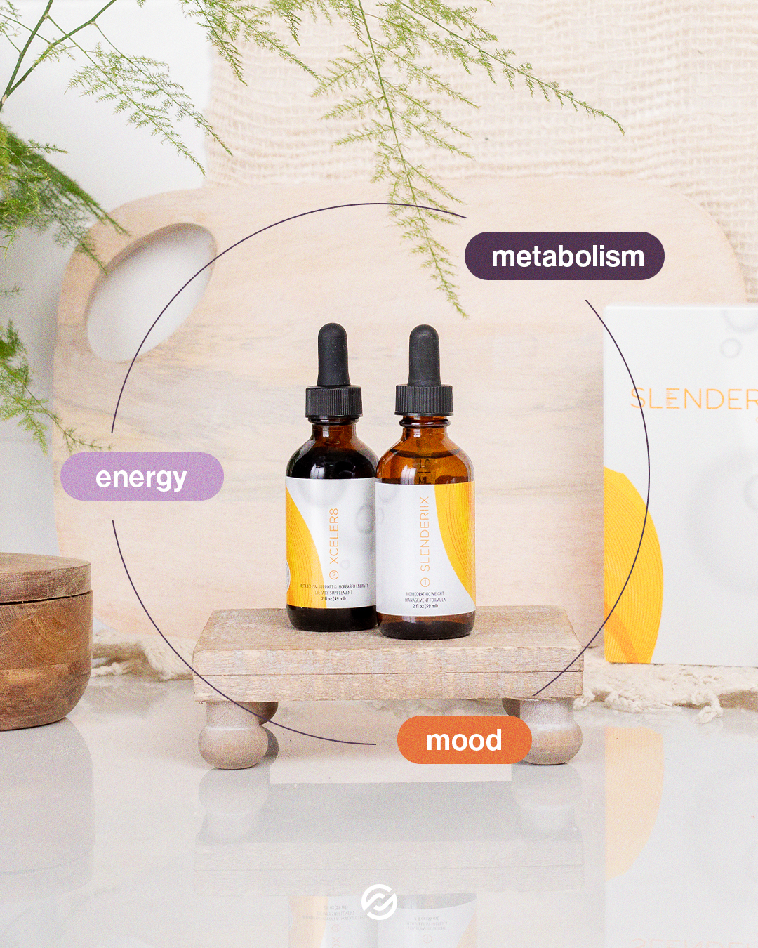 Journal | Partner.Co: Your Hormone’s Impact on Your Weight