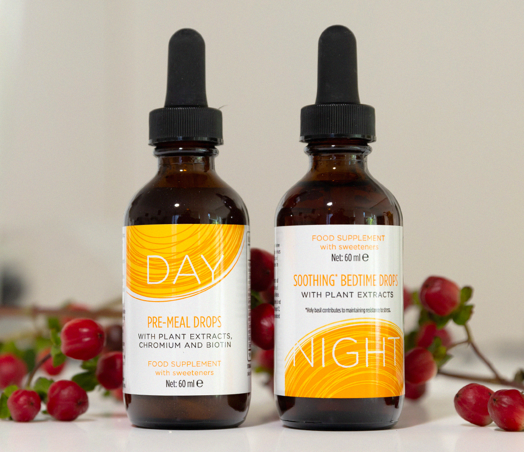 Journal | Partner.Co: Holiday Balance 101: Wellness Tips & Product Picks