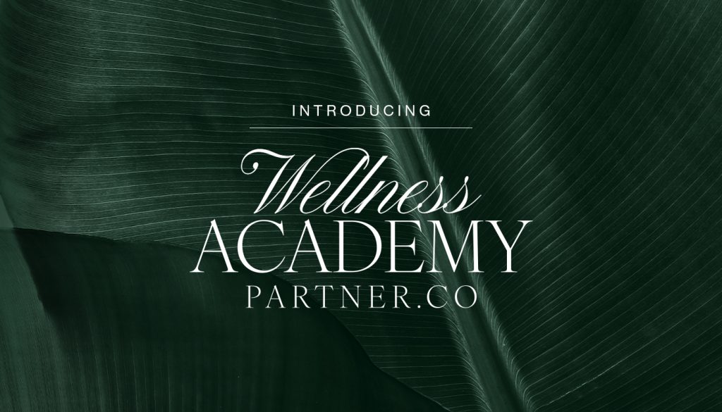 Journal | Partner.Co: Introducing the Partner.Co Wellness Academy